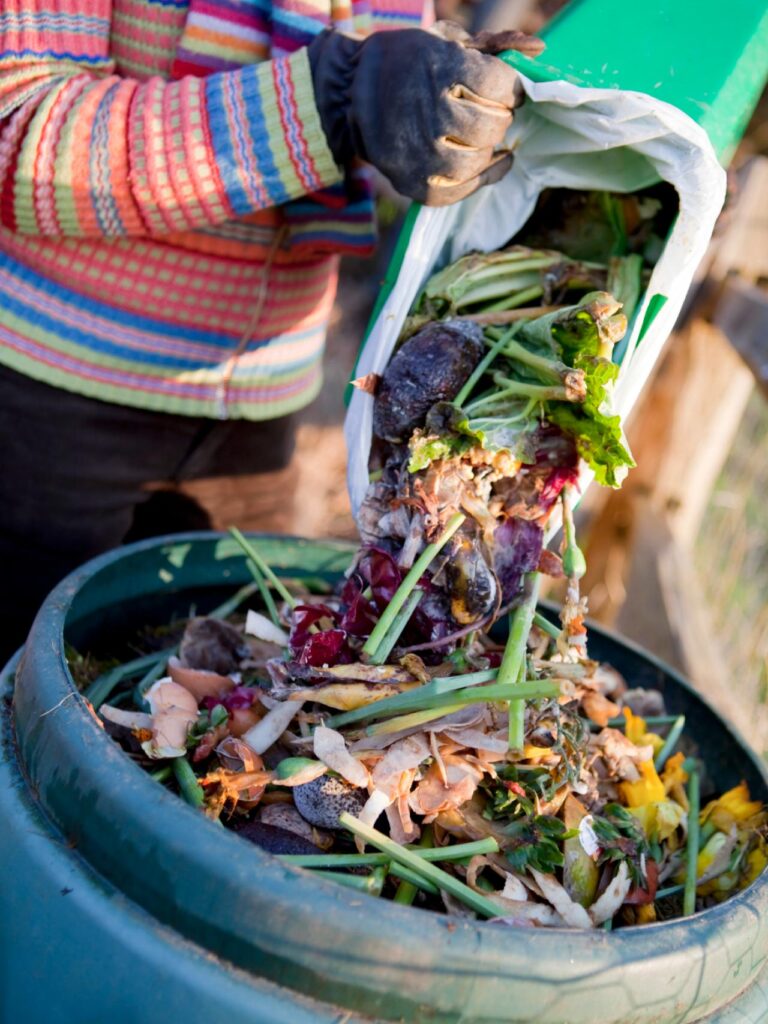 Your Guide to At-Home Composting - Midtown Composting & Recycling Your Guide to At-Home Composting - Midtown Composting & Recycling